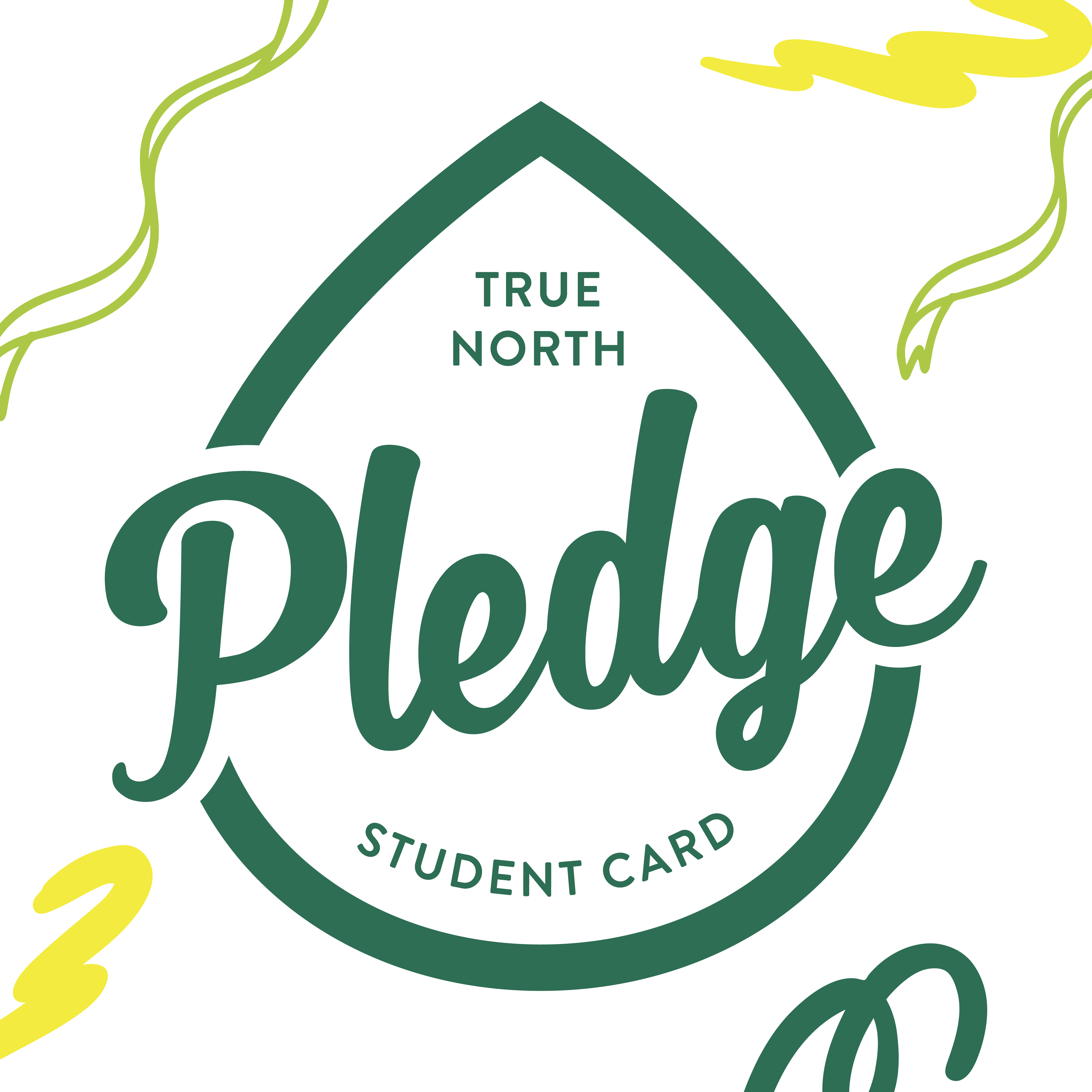 What's On - The Punch Bowl